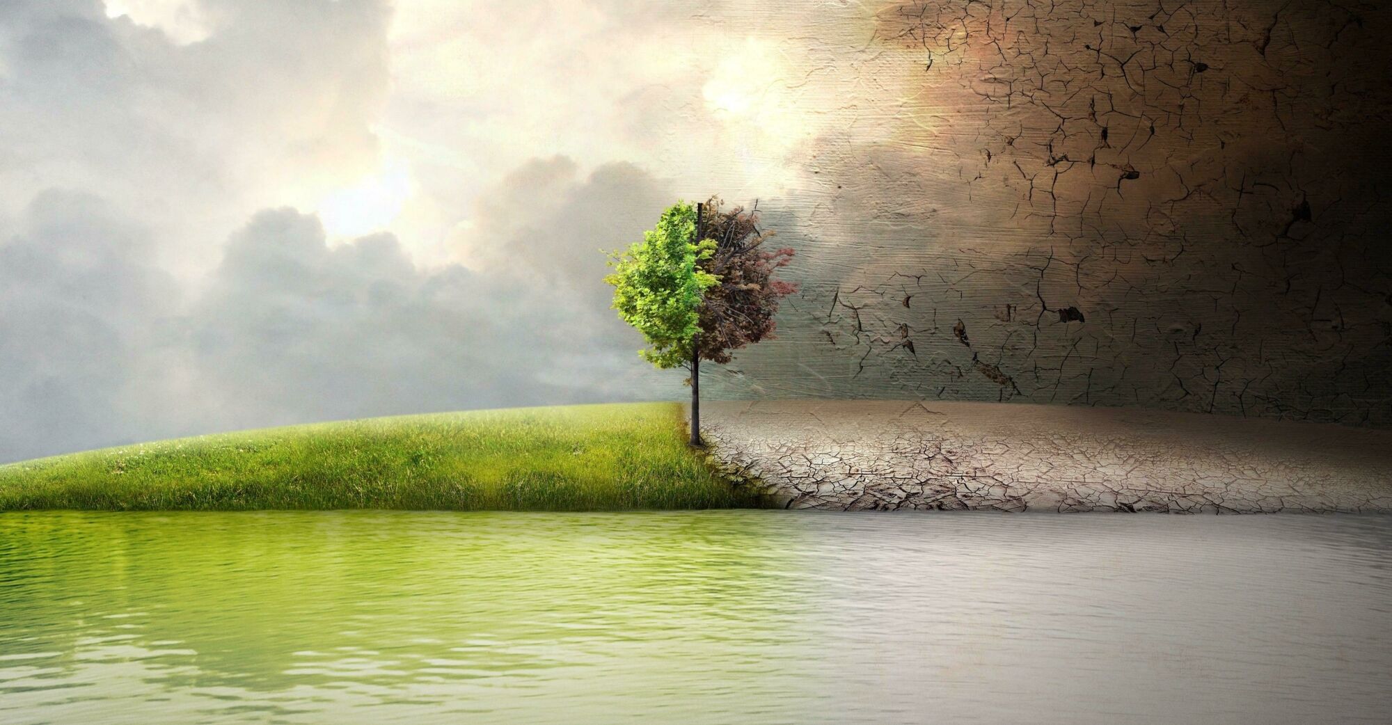 Avant le déluge | Cinéma — Quai10